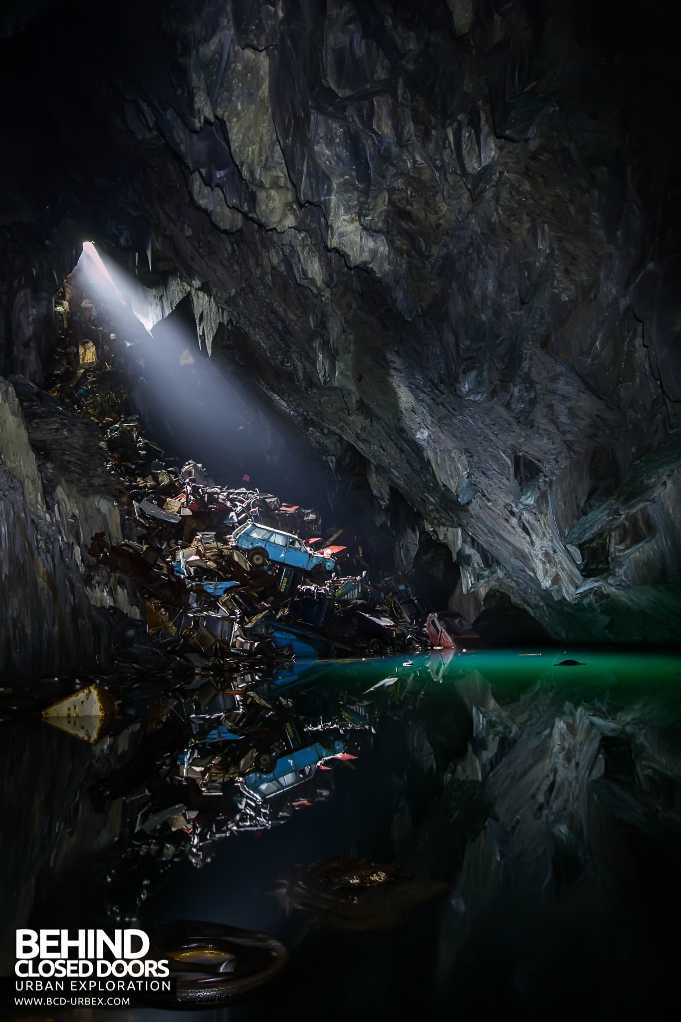 Moved to Melbourne years ago, the wildlife in and around the rivers ...